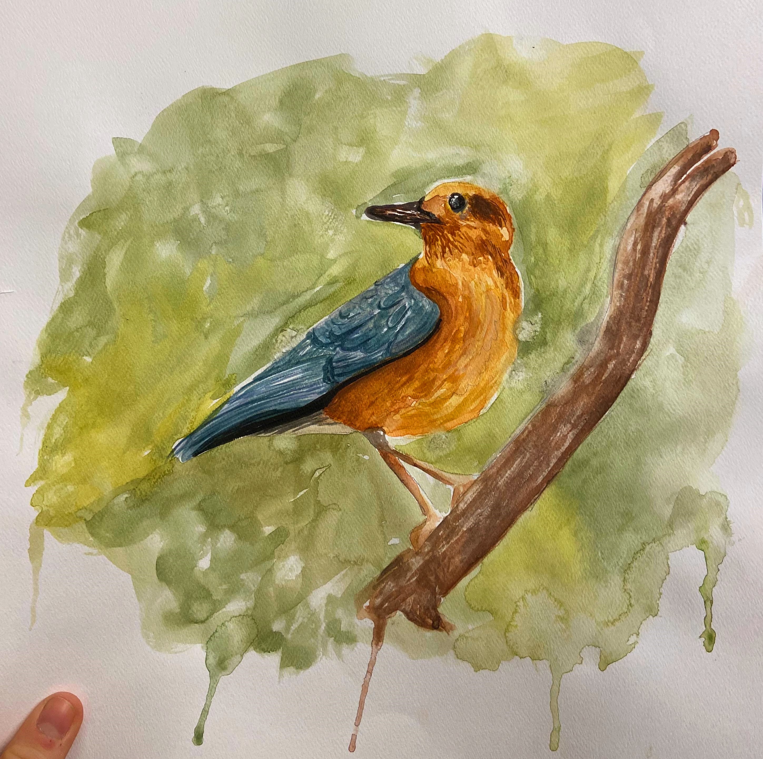 Artwork | Grace Cibula